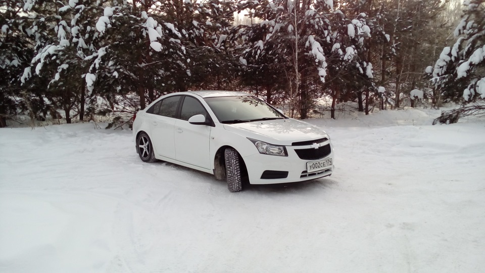 немного зимних фото в лесу Winter 2016 — Chevrolet Cruze (1G), 1,6 л ...