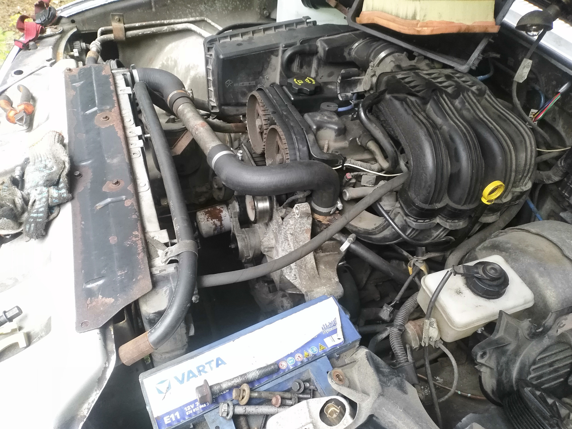 Эх, всё таки, крайслер не девятка. ГРМ. — ГАЗ 31105, 2,4 л, 2008 года | своими руками | DRIVE2