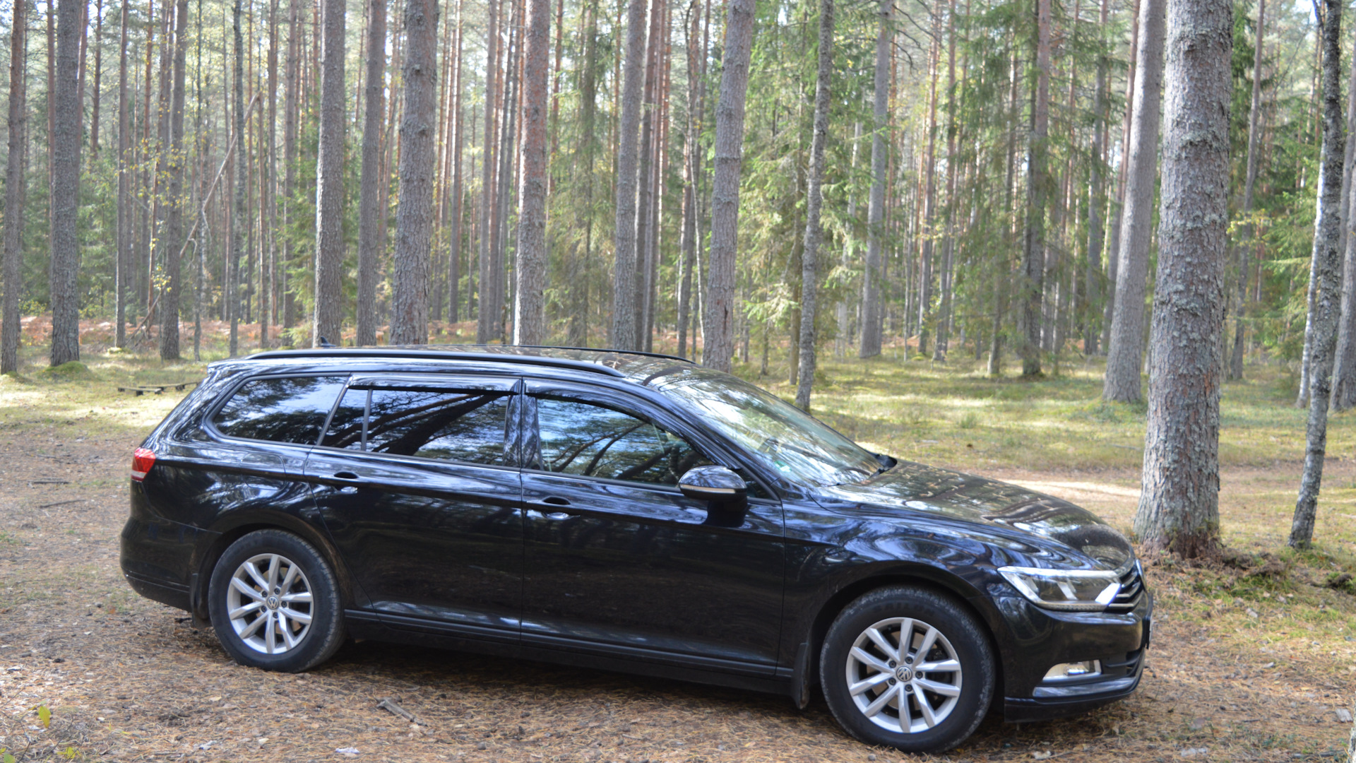 Volkswagen Passat Variant (B8) 1.6 дизельный 2019 | на DRIVE2