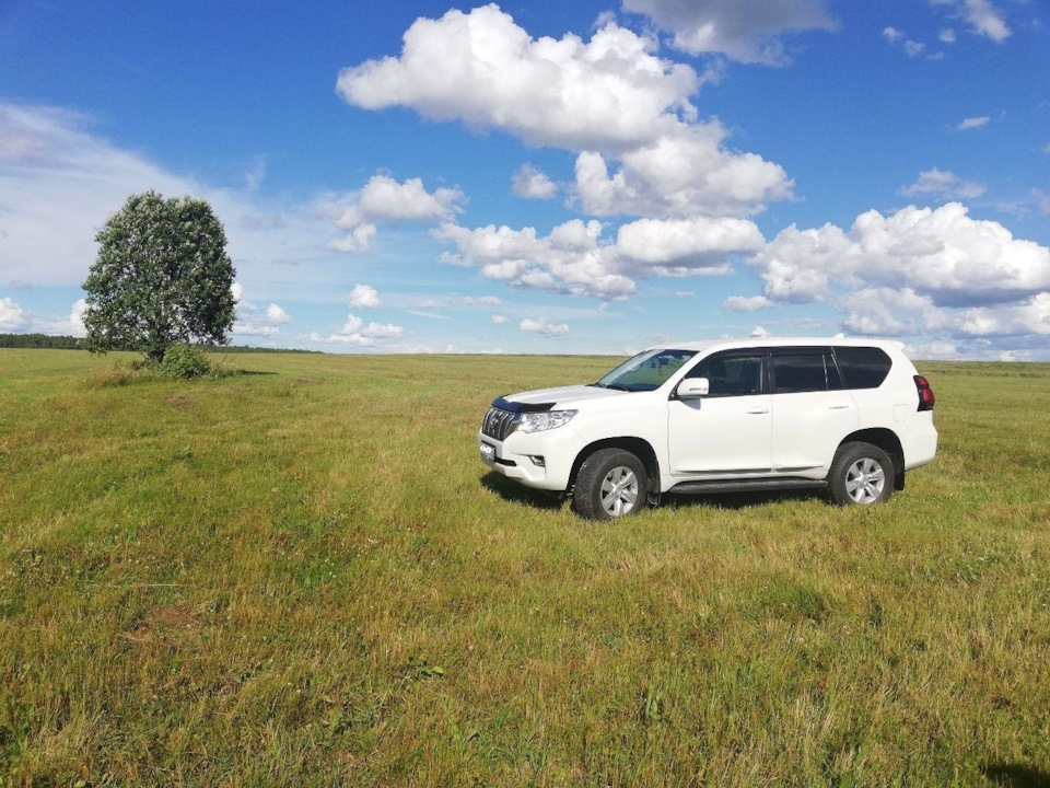 ТО-1 — Toyota Land Cruiser Prado 150-series, 2,8 л, 2019 года ...