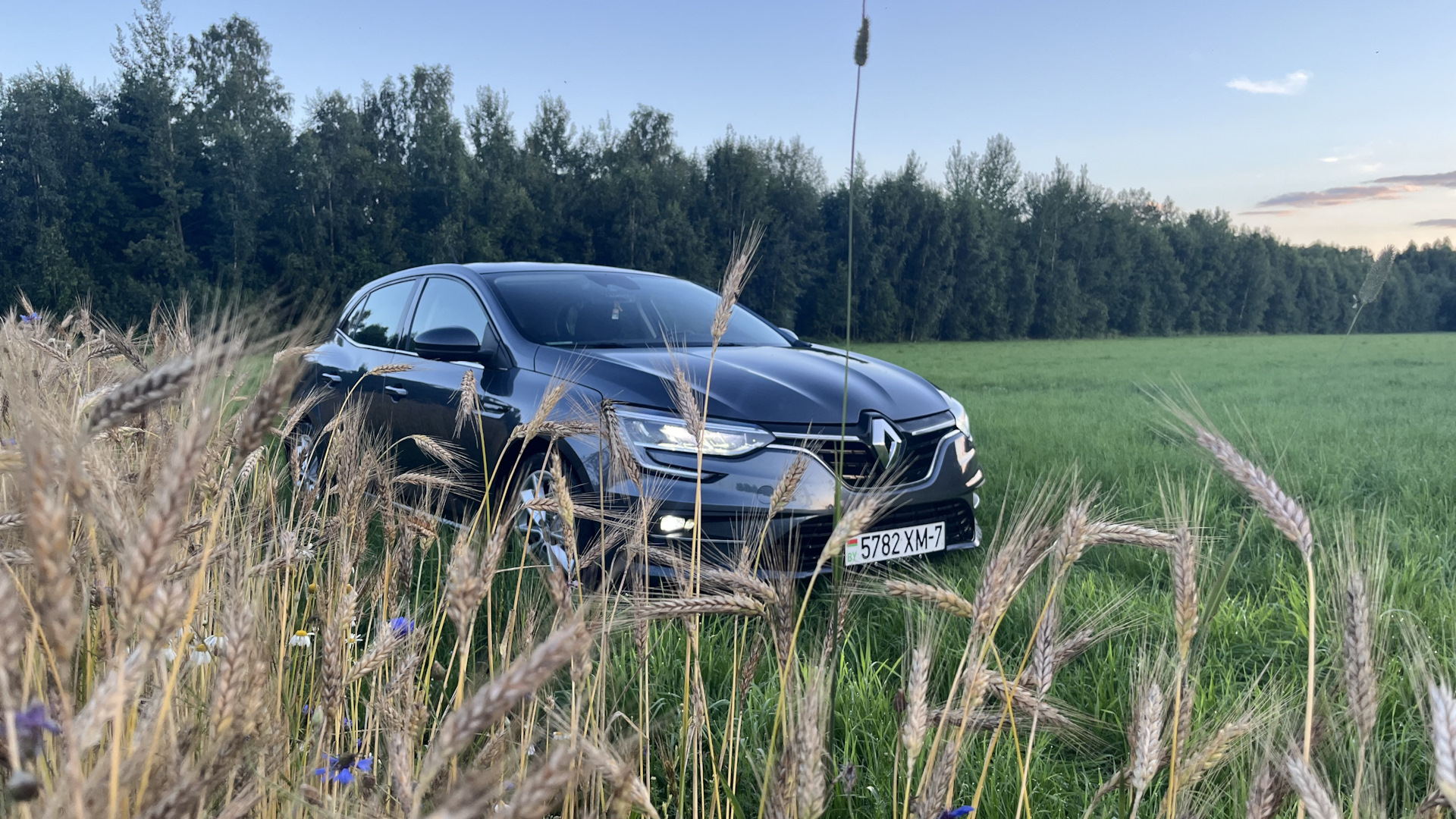 Renault Megane IV 1.5 дизельный 2020 | Megane4️⃣Gris Titanium на DRIVE2