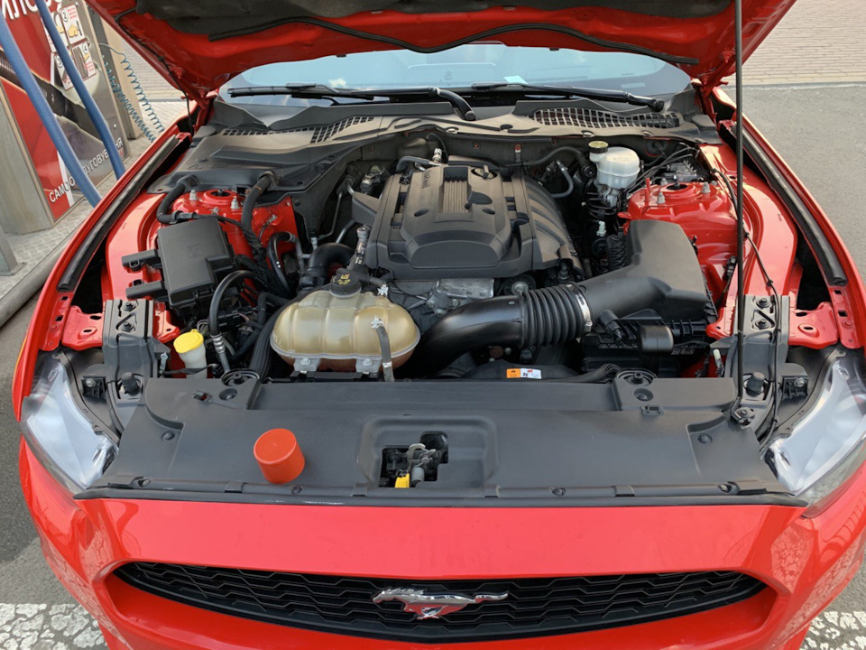 Замена клапана продувки абсорбера (evap), p1450 — Ford Mustang (6G), 2,3 л, 2015 года | своими ...