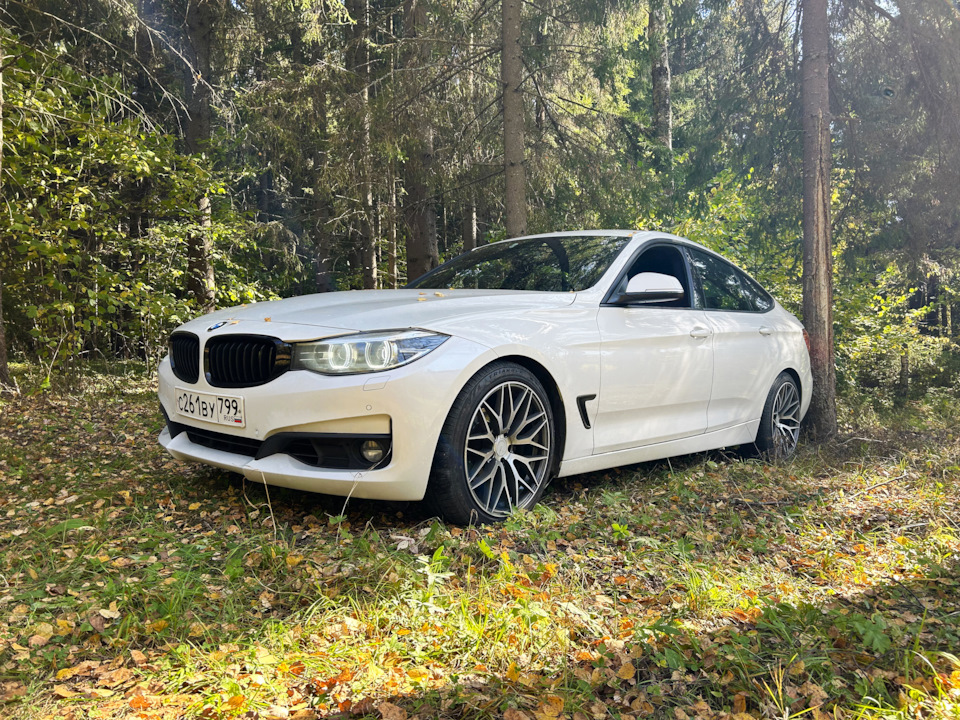 Поездка за грибами — BMW 3 series Gran Turismo (F34), 2 л, 2018 года | фотография | DRIVE2