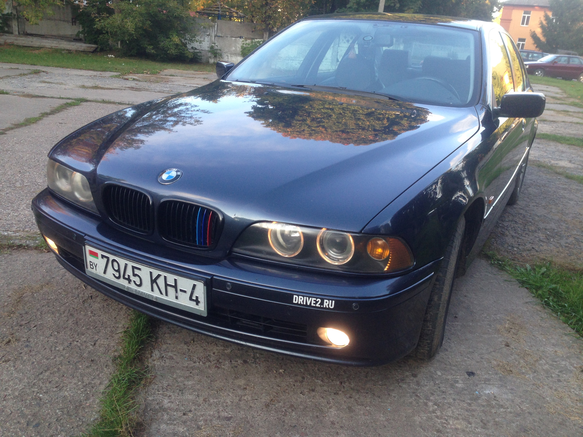 "М" полоски. — BMW 5 series (E39), 2,5 л., 2001 года | тюнинг | DRIVE2