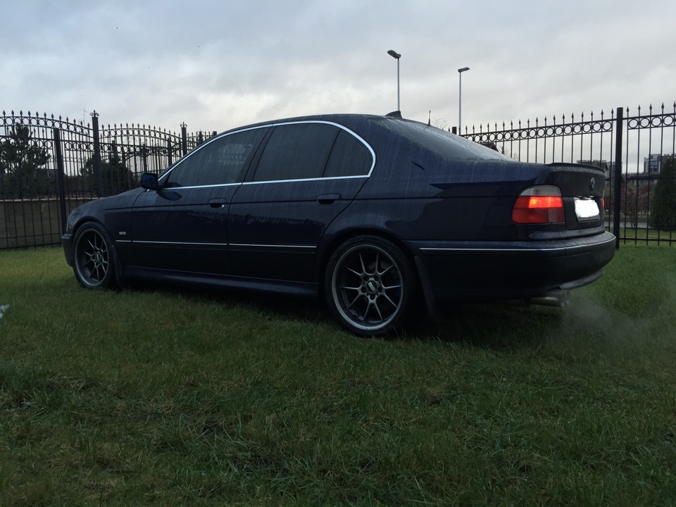 Eibach Pro-Kit и небольшой фотосет — BMW 5 series (E39), 2,5 л, 1998 года | визит на сервис | DRIVE2