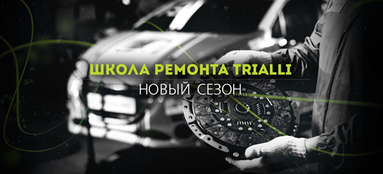 Замена переднего амортизатора на Renault Logan / TRIALLI — Carville на DRIVE2