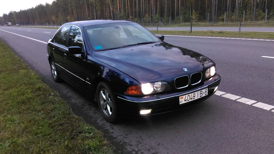 BMW 5 series (E39) 2.0 бензиновый 1999 | m52TU b20 на DRIVE2