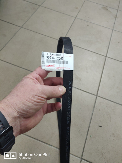 9091602667 ПОЛИКЛИНОВЫЙ РЕМЕНЬ 6 PK 1256 TOYOTA LEXUS | Запчасти на DRIVE2
