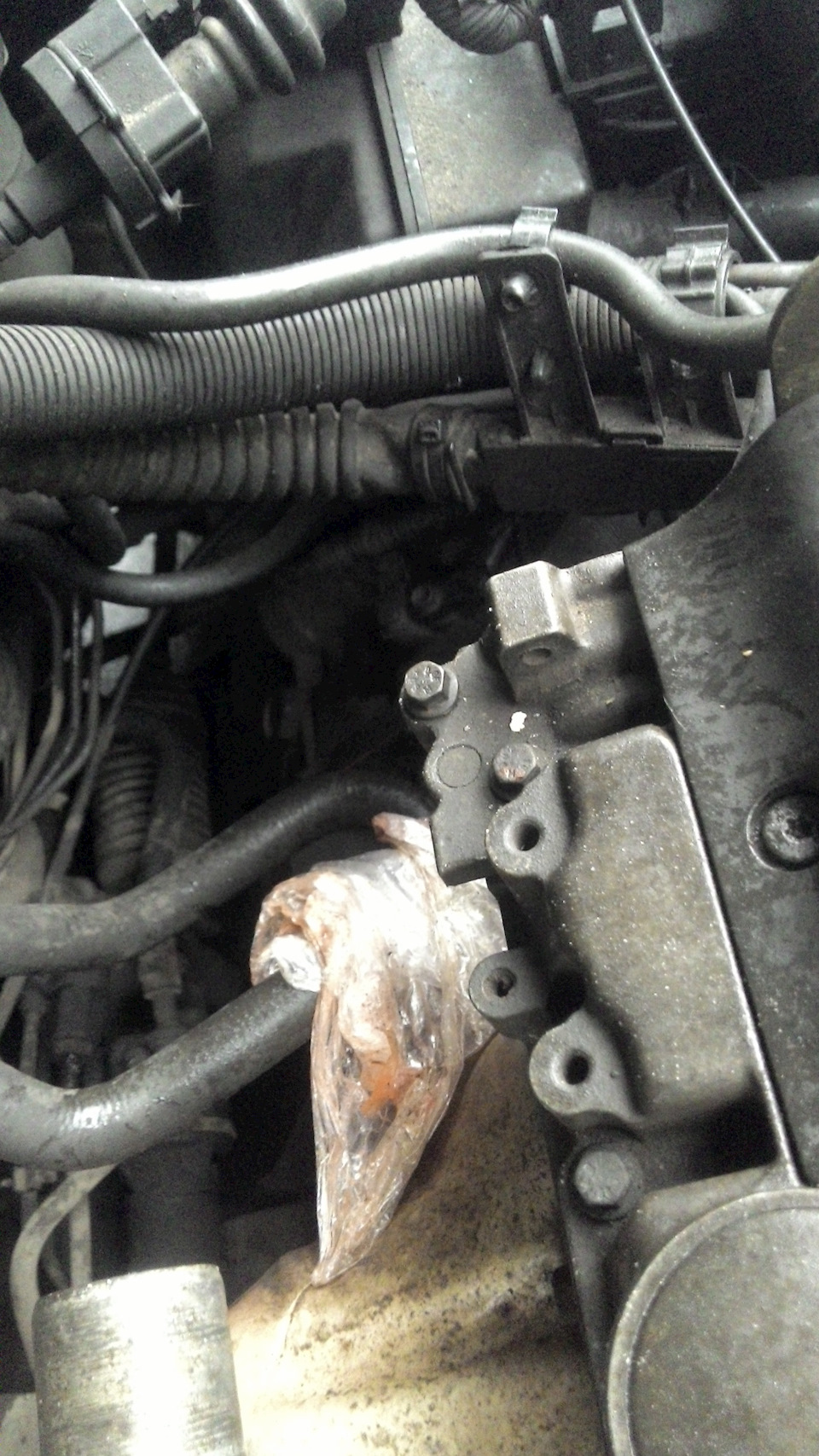 Шведский стол. — Volvo S40 (1G), 2 л, 2000 года | прикол | DRIVE2