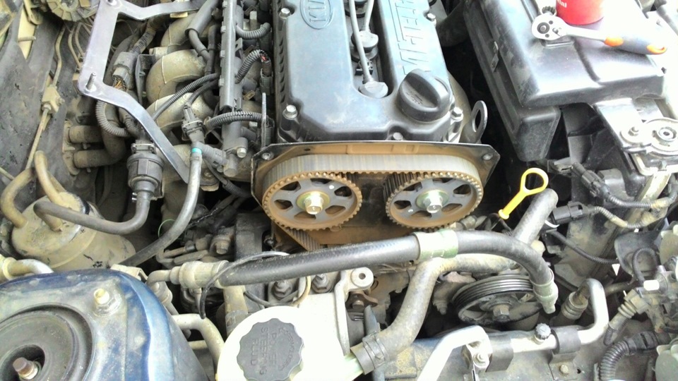 Замена ремня ГРМ и приводных ремней — KIA Spectra, 1,6 л, 2007 года ...