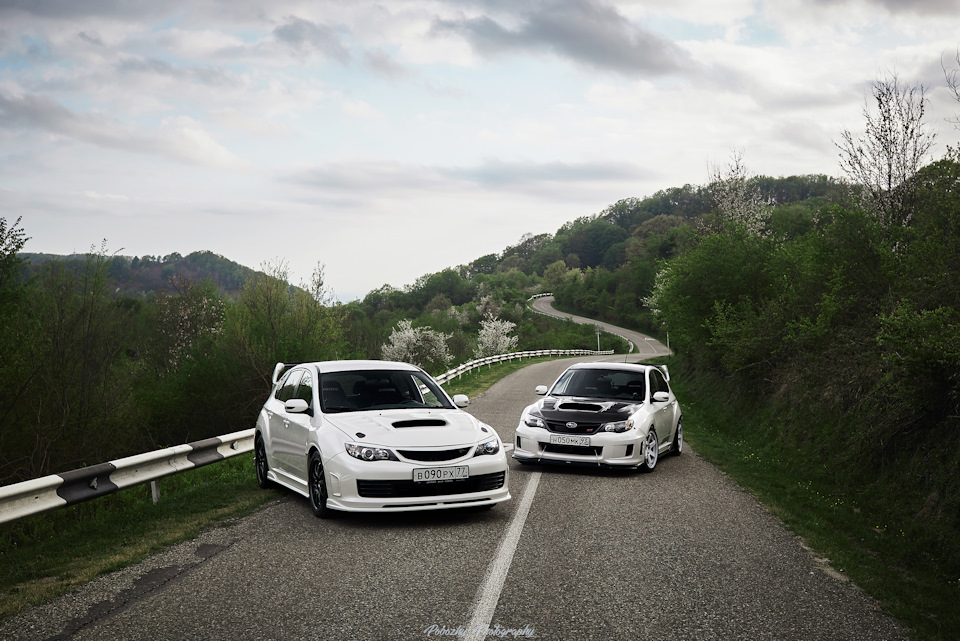 Subaru Impreza Sti grb Spec C — DRIVE2