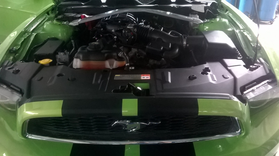 Новая работа Ford ))) — DRIVE2