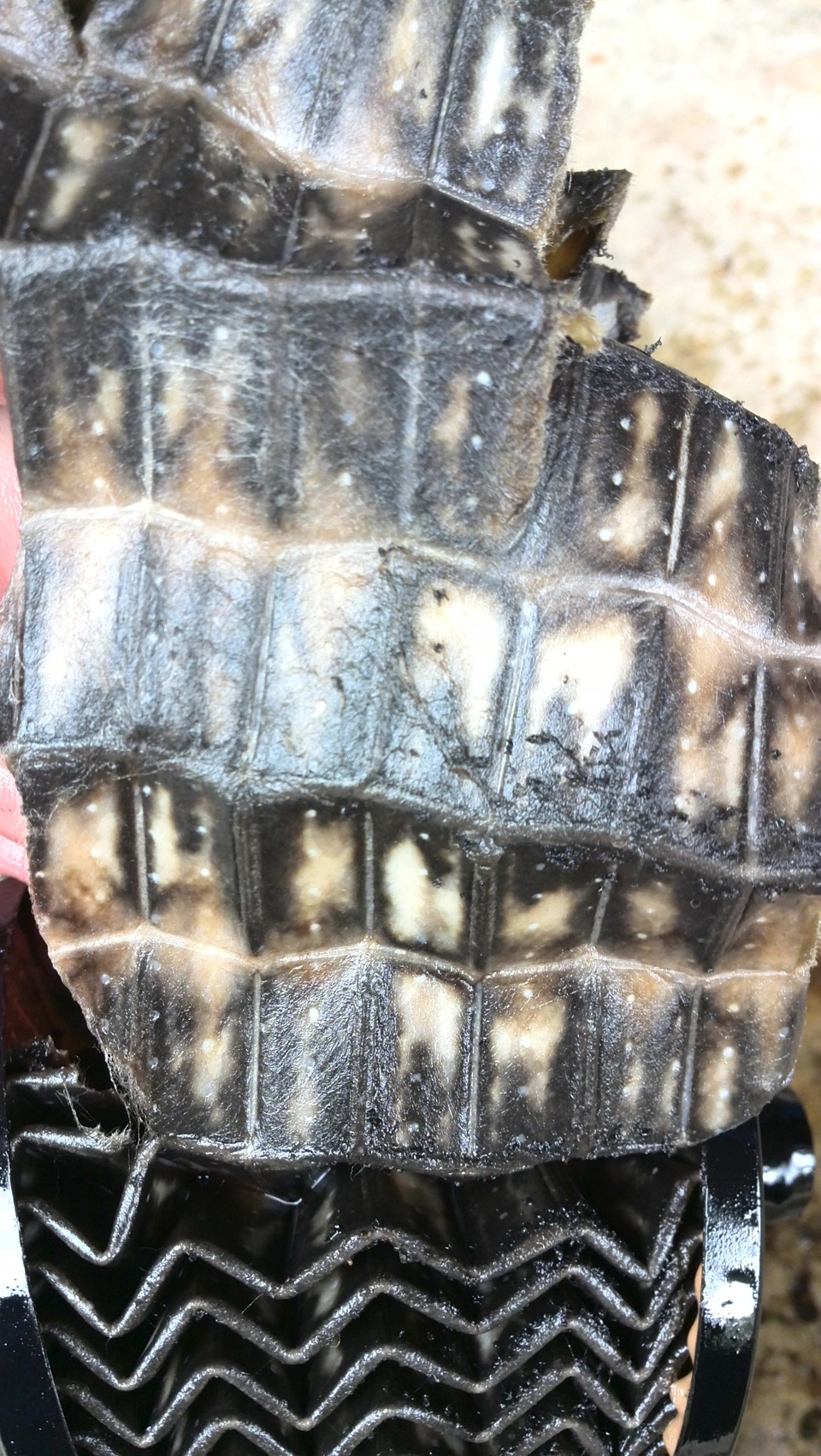 Вскрытие-2 топливного фильтра Mann WK12001 — Citroen C5 (2G), 2,2 л ...