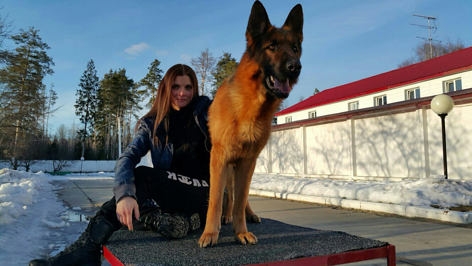 День X… — DRIVE2