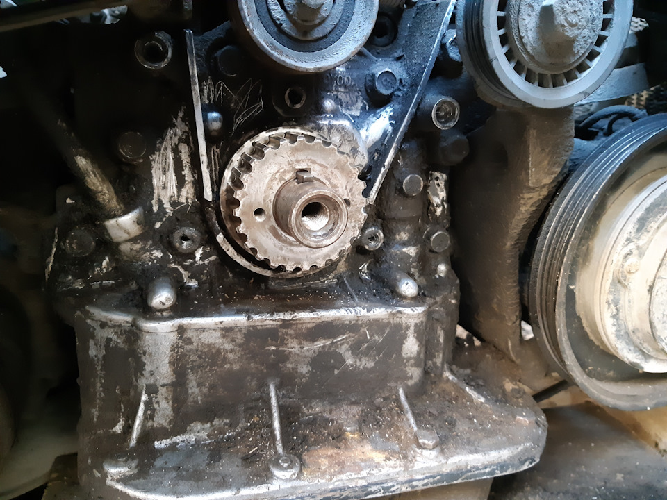 Зубчатый шкив ГРМ — Toyota Carib (111), 1,8 л, 1995 года | своими ...