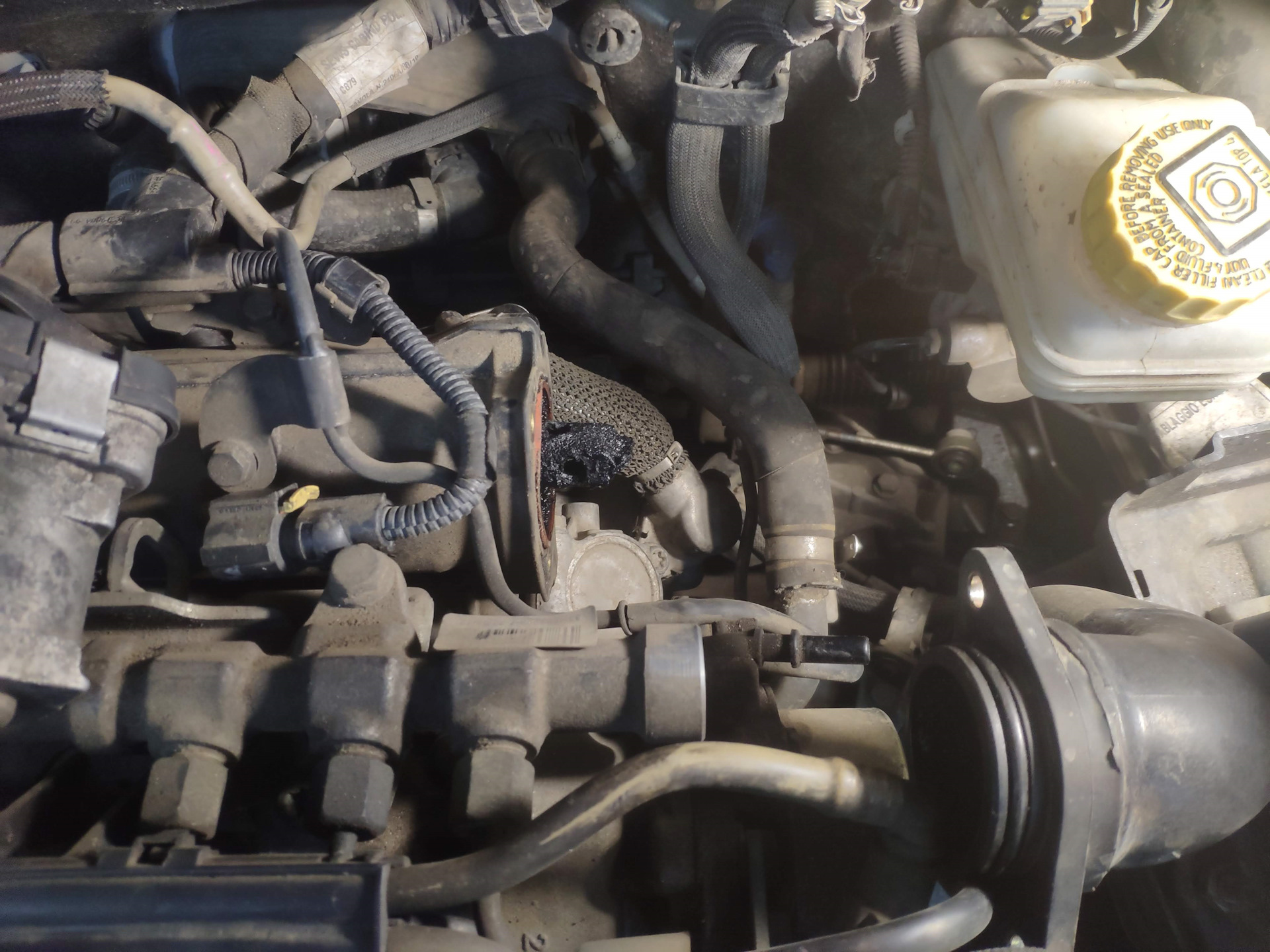 Ошибка P0488, Chek glow plugs. Чистка ЕГР. Симптомы 1,3 multijet ...