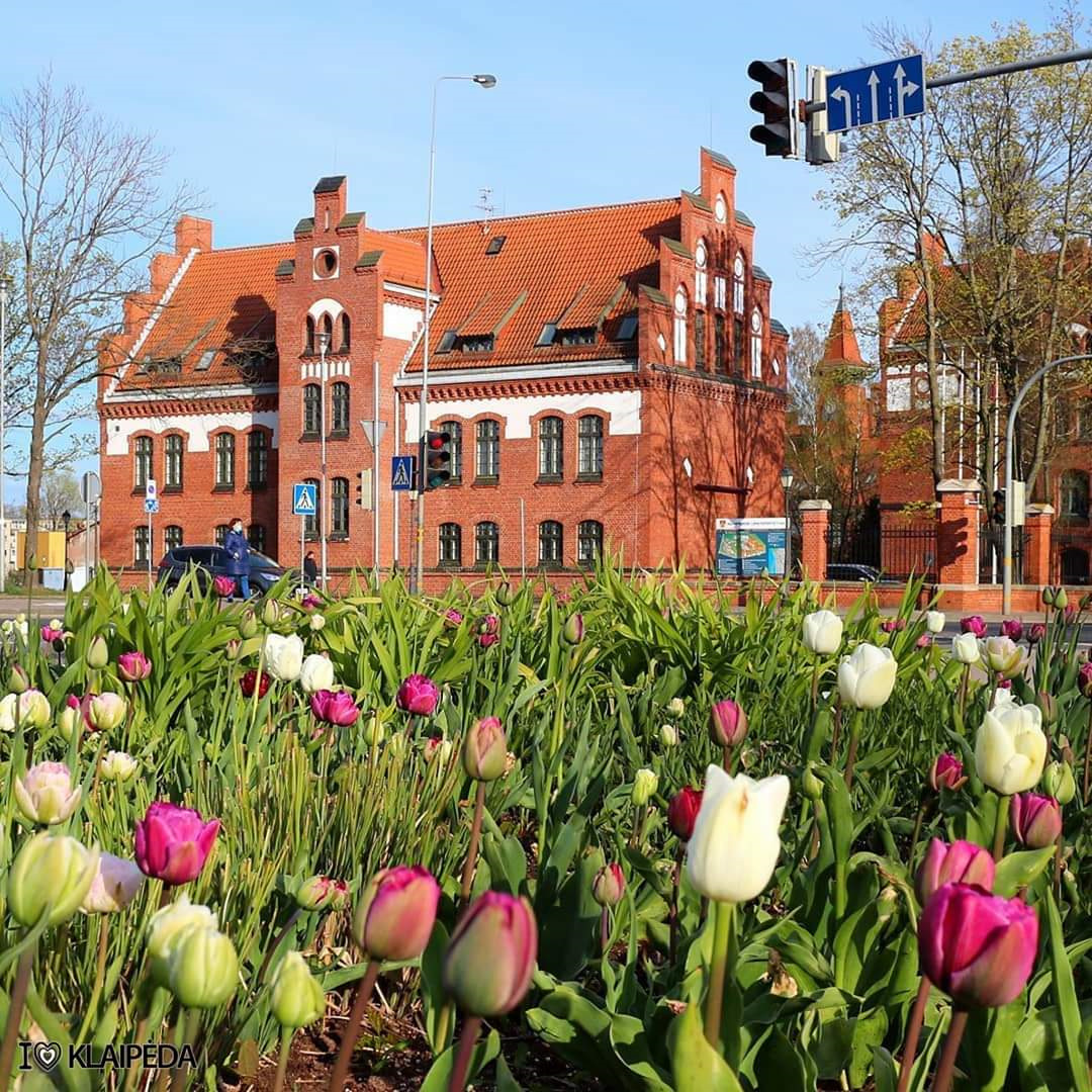Щётка дворника — Mercedes-Benz E-Class (W124), 2 л, 1988 года ...