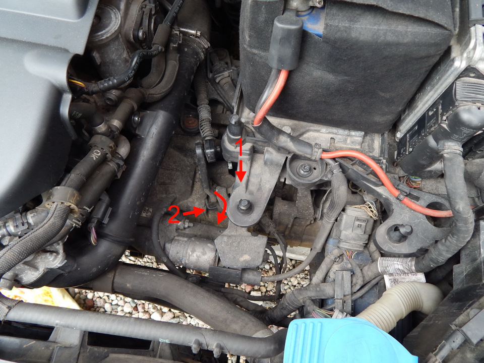 Замена масла в МКПП (MQ250) — SEAT Leon (Mk III), 1,6 л, 2015 года ...