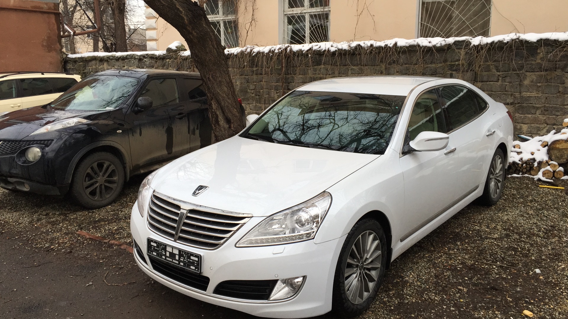 Hyundai Equus (2G) 3.8 бензиновый 2014 | Конь породистый белый на DRIVE2