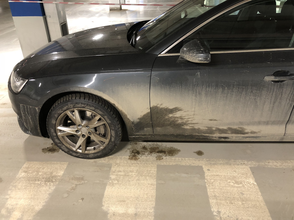 Устал от грязи. Брызговики — Audi A4 (B9), 2 л, 2016 года | аксессуары ...