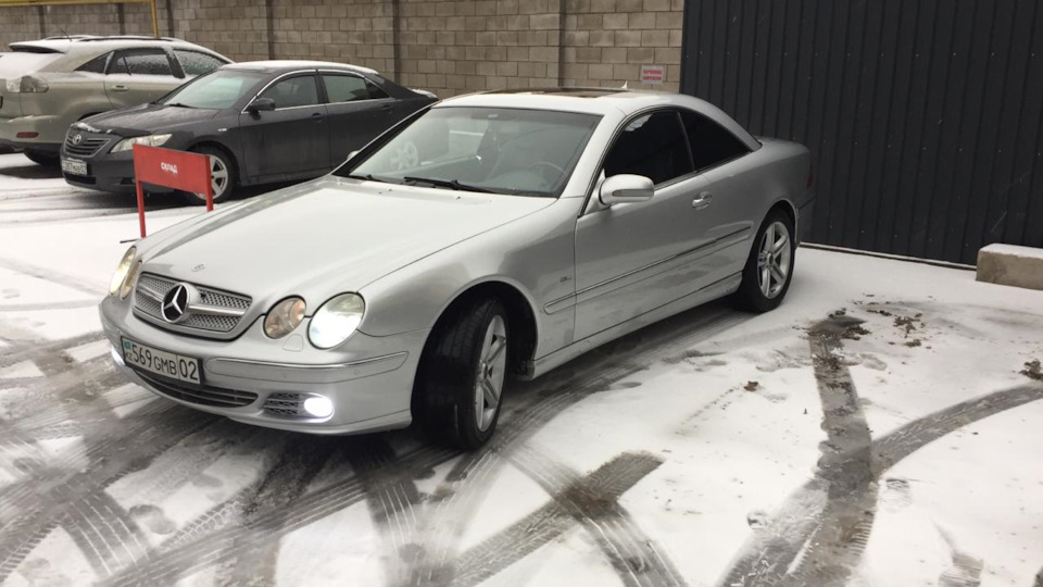 искупался зверек — Mercedes-Benz CL (W215), 5 л, 2001 года | просто так ...