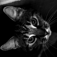 Carpenter Brut † TURBO KILLER † Directed by Seth Ickerman † Official ...