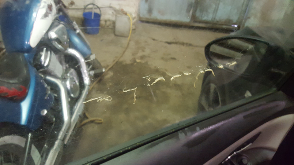 Удаление клея от тонировки — Chevrolet Cruze (1G), 1,6 л, 2011 года ...
