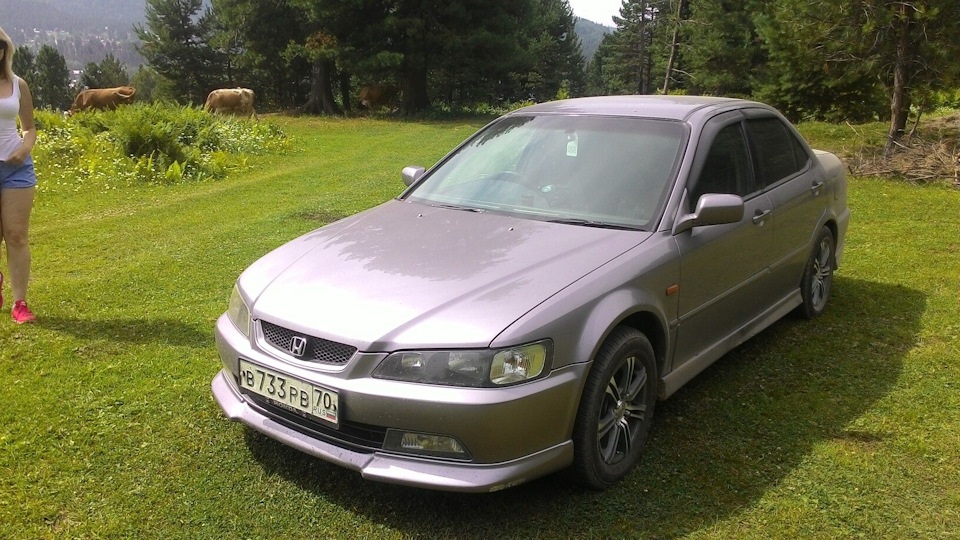 D3 или D4 — Honda Accord (6G), 1,8 л, 2000 года | покатушки | DRIVE2