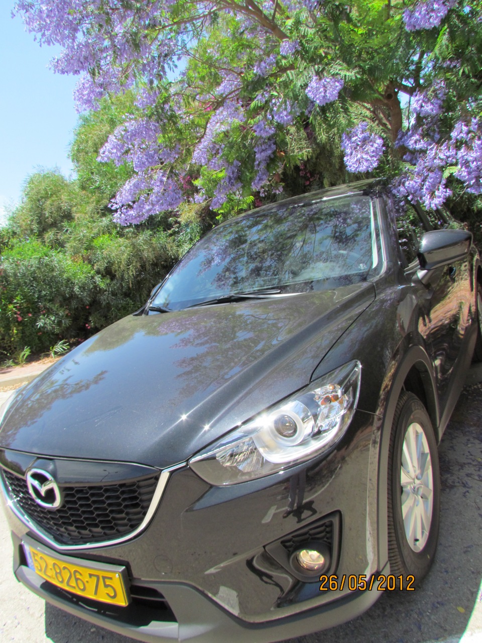 Вот и пришло лето. — Mazda CX-5 (1G), 2 л, 2012 года | фотография | DRIVE2