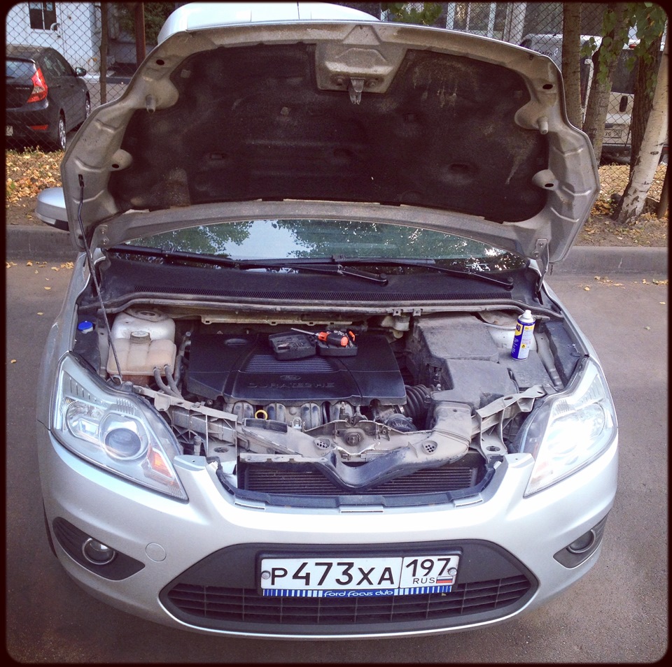 Фронт Грилл — Ford Focus Hatchback II, 2 л, 2009 года | стайлинг | DRIVE2