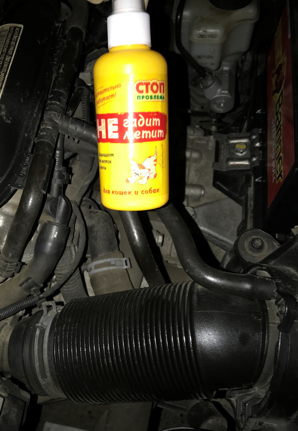 STOPCAT — Skoda Yeti, 1,2 л, 2011 года | другое | DRIVE2