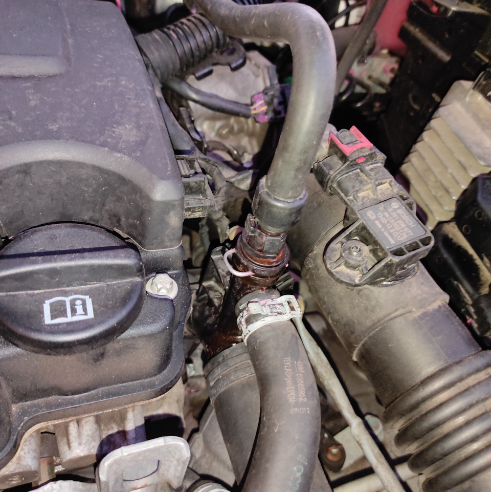 55565952 Шланг маслоохладителя GM | Запчасти на DRIVE2