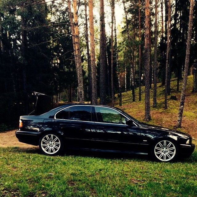 Bimmer's Summer — DRIVE2