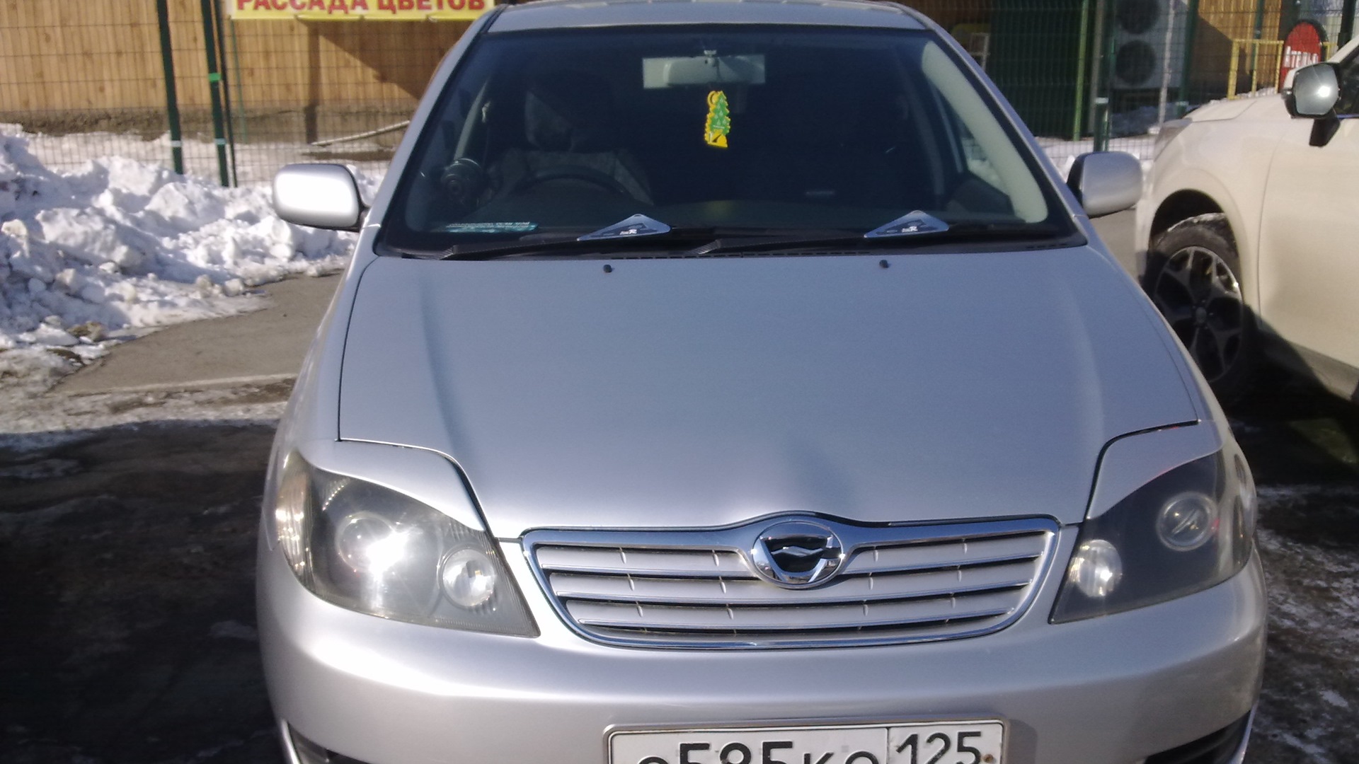 Toyota Corolla RunX 1.8 бензиновый 2001 | [Z][Z][Z] на DRIVE2