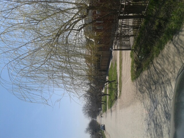 Ну вот и я на лете! — Toyota bB (1G), 1,5 л, 2003 года | шины | DRIVE2