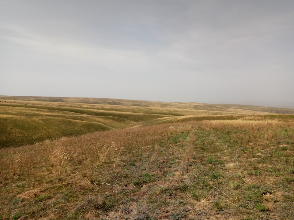 Скатался на Малайсары, готовлюсь разбирать двигатель — Mercedes-Benz G ...