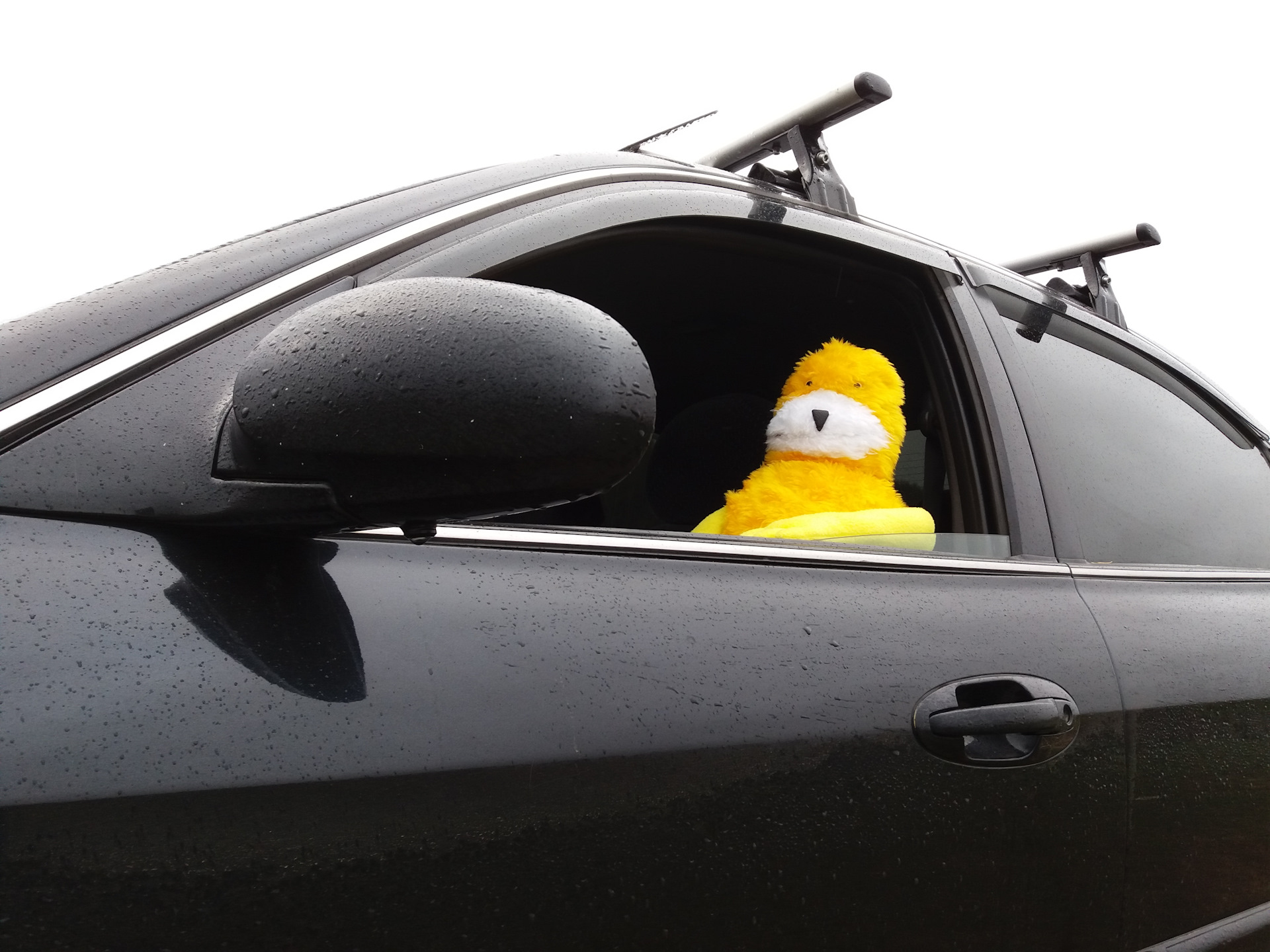 Немного фоточек vs. Flat Eric! — Hyundai Sonata IV (EF), 2 л, 2008 года | фотография | DRIVE2