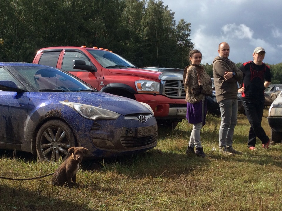 Тусовка ралли WRS Drive2 — DRIVE2