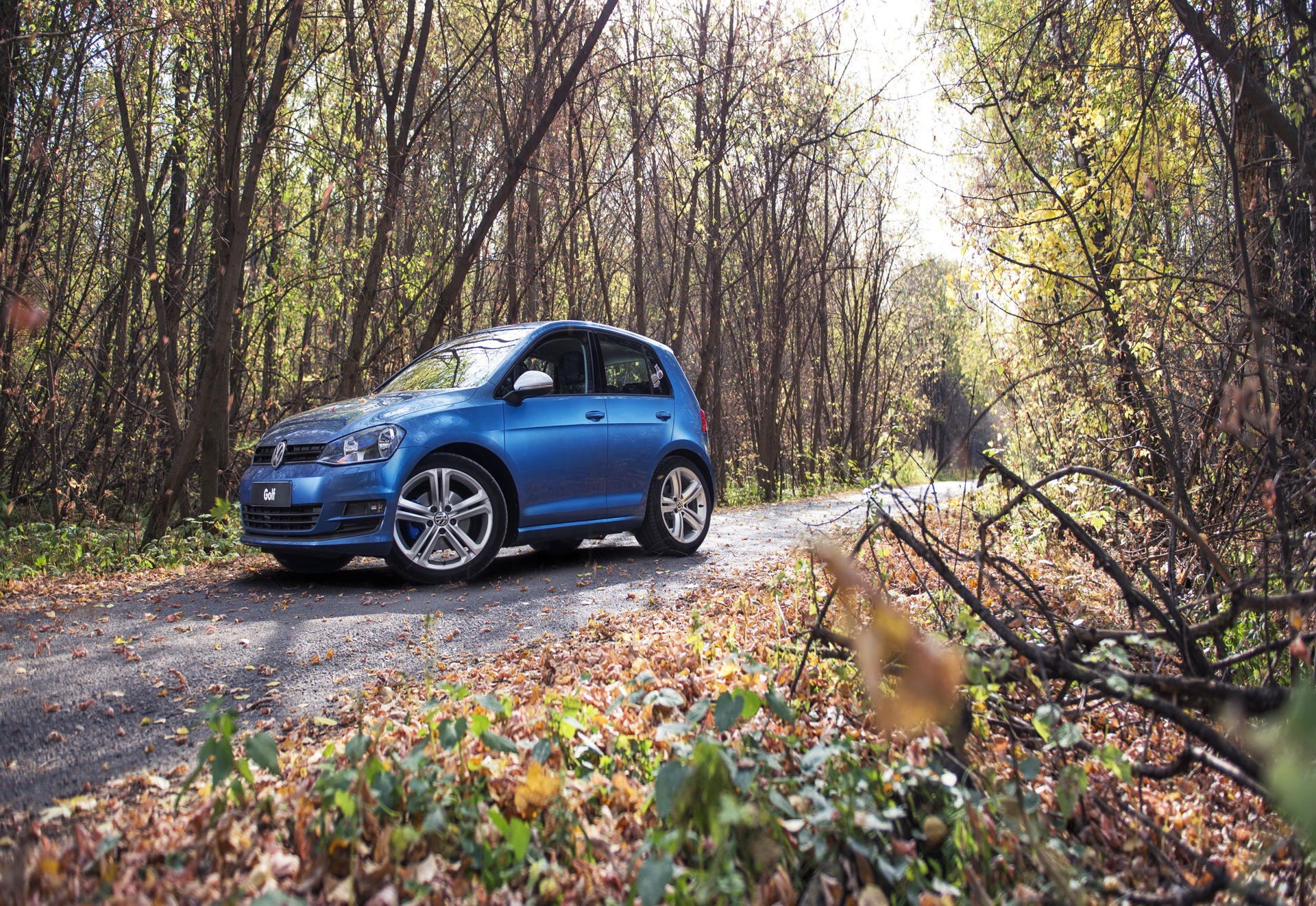 Mini golf — Volkswagen Golf Mk7, 1,4 л, 2013 года | фотография | DRIVE2