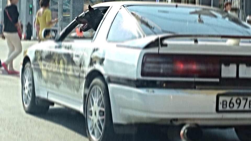 Toyota Supra (70) 2.5 бензиновый 1990 | 1g-gte -> 1jz-gte Vvt-i на DRIVE2