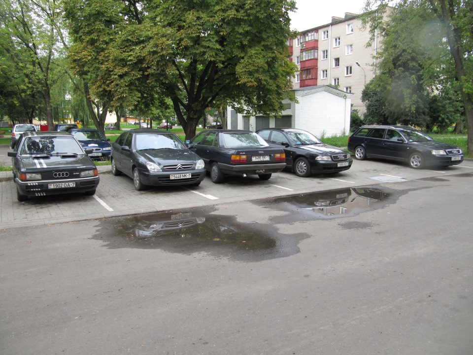 Получение номеров — Audi 90 (B2), 1,8 л, 1985 года | покупка машины ...