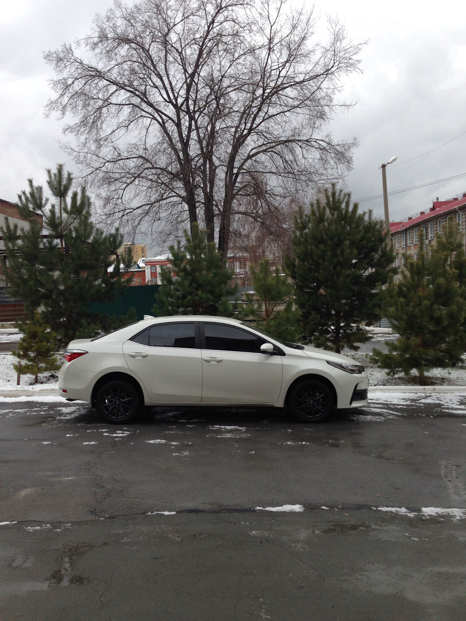 Переобул свою Toyota Corolla E180 2017 — DRIVE2