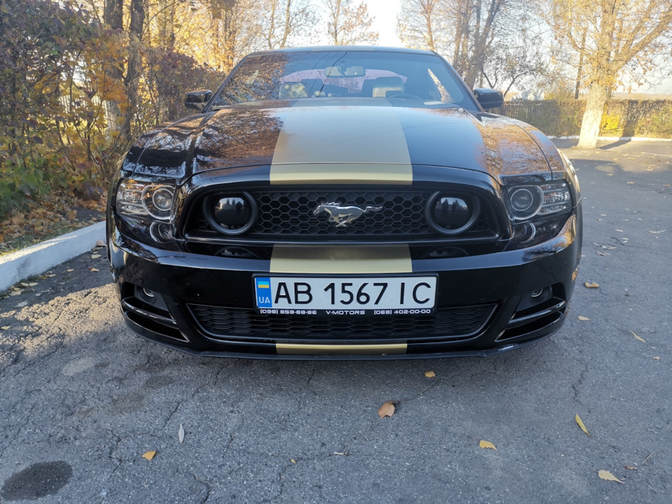 Постановка на учёт и прочие прелести жизни… — Ford Mustang (5G), 3,7 л ...