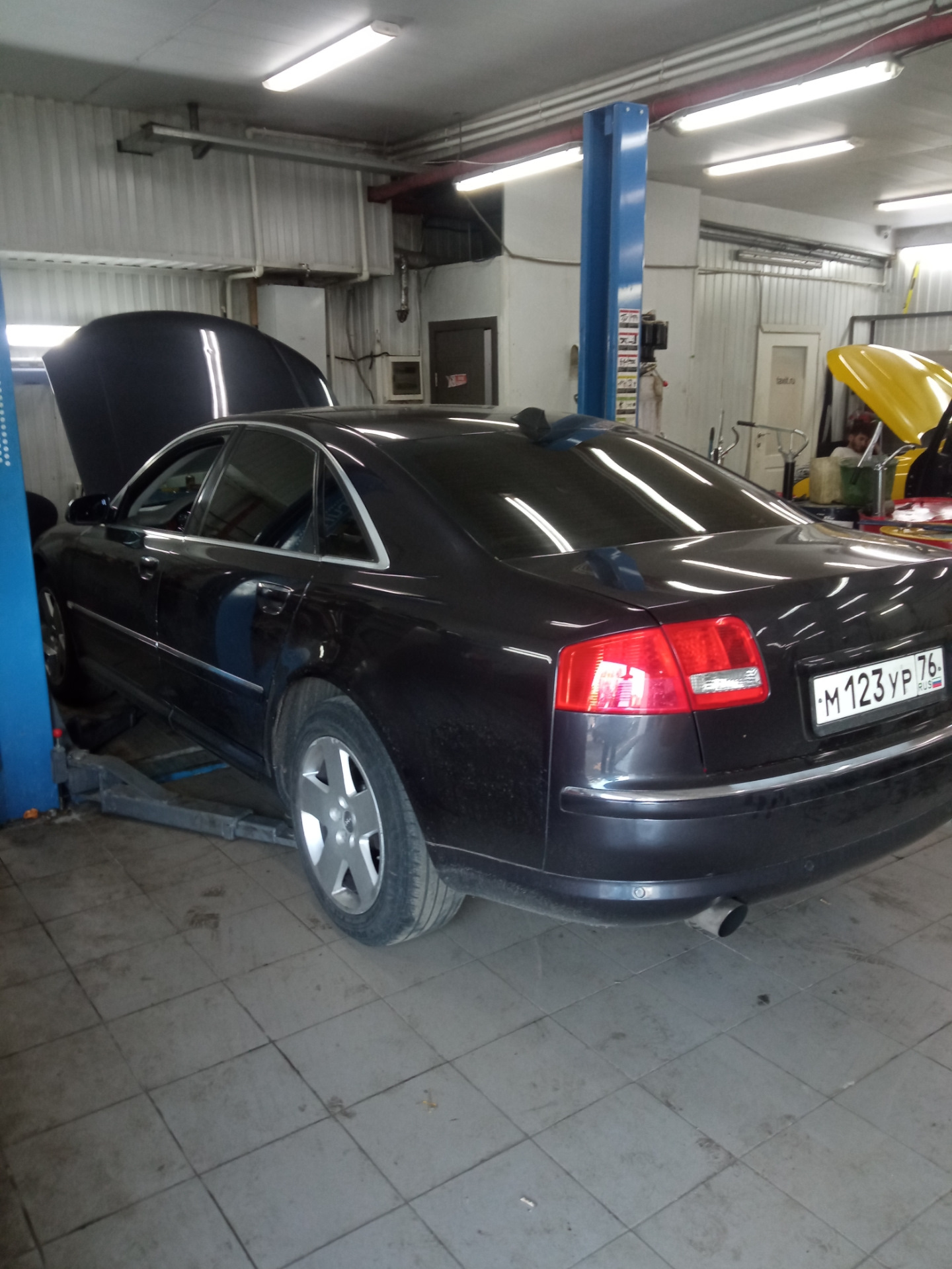 Авоська сегодня сверху) — Audi A8 (D3), 4,2 л, 2003 года | наблюдение | DRIVE2