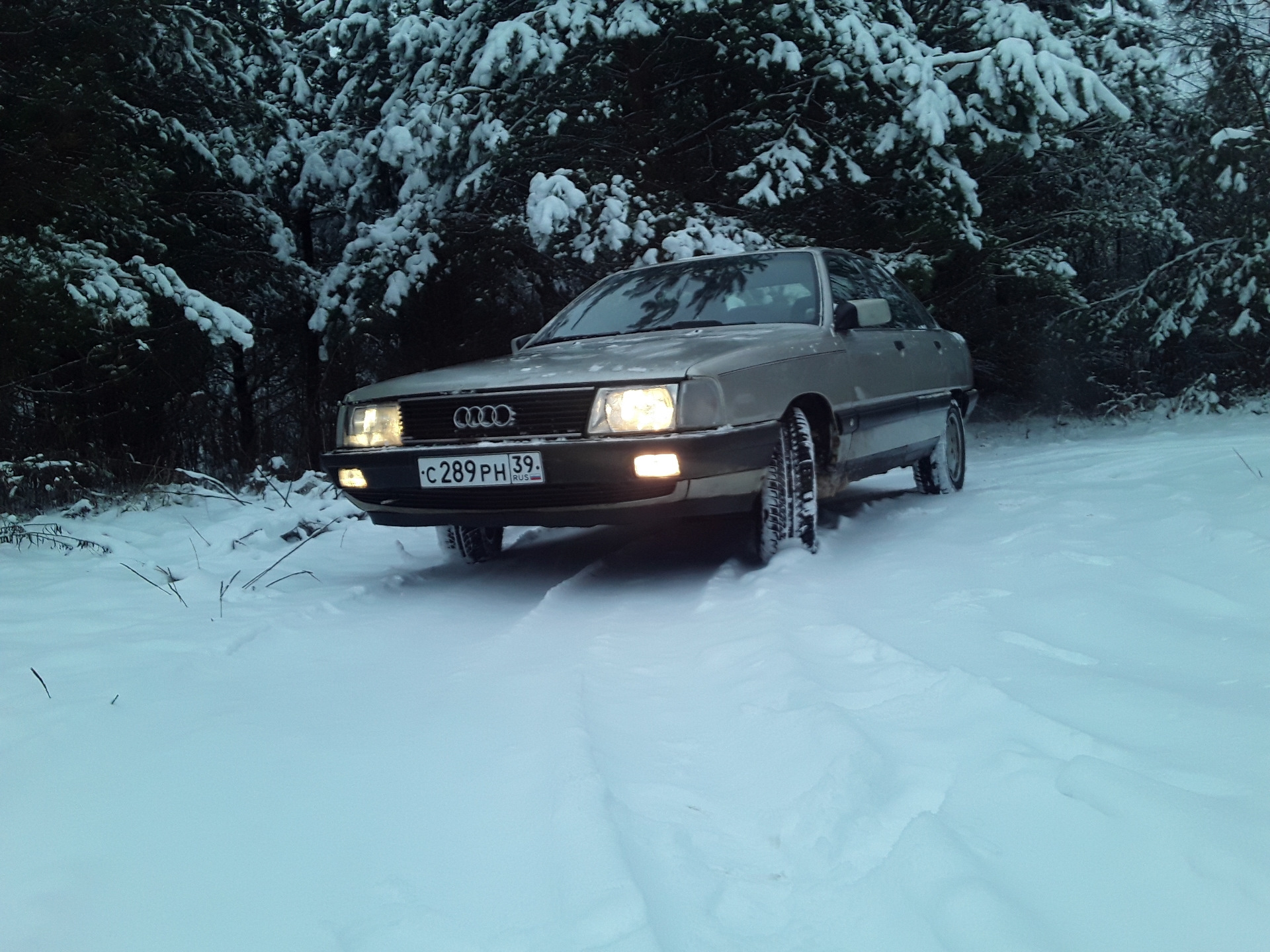 Режим работы пер противотуманок — Audi 100 (C3), 2,2 л, 1989 года ...
