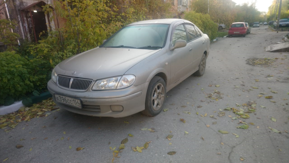 ТО — Nissan Bluebird Sylphy (G10), 1,8 л., 2001 года | плановое ТО | DRIVE2
