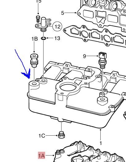 55558606 Шланг подогрева дросселя GM | Запчасти на DRIVE2