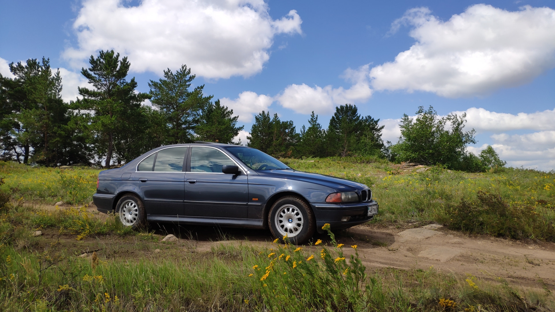 Покатушки продолжаются по просторам нашей родины — BMW 5 series (E39), 2 л, 1996 года ...