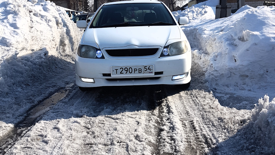 Toyota Corolla RunX 1.8 бензиновый 2002 | Комплектация Z на DRIVE2