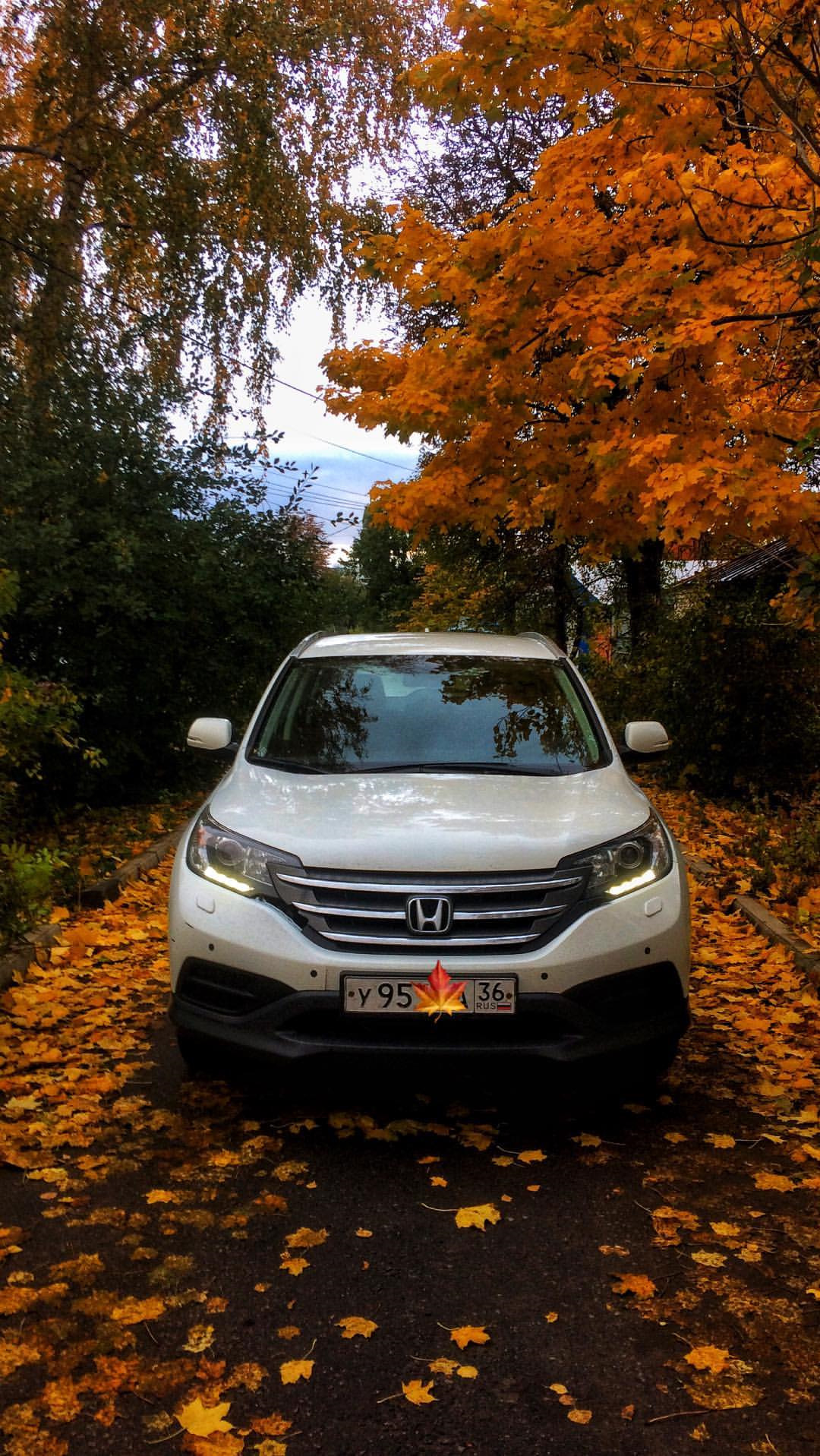 Ближний свет — Honda CR-V (RM), 2 л, 2013 года | аксессуары | DRIVE2